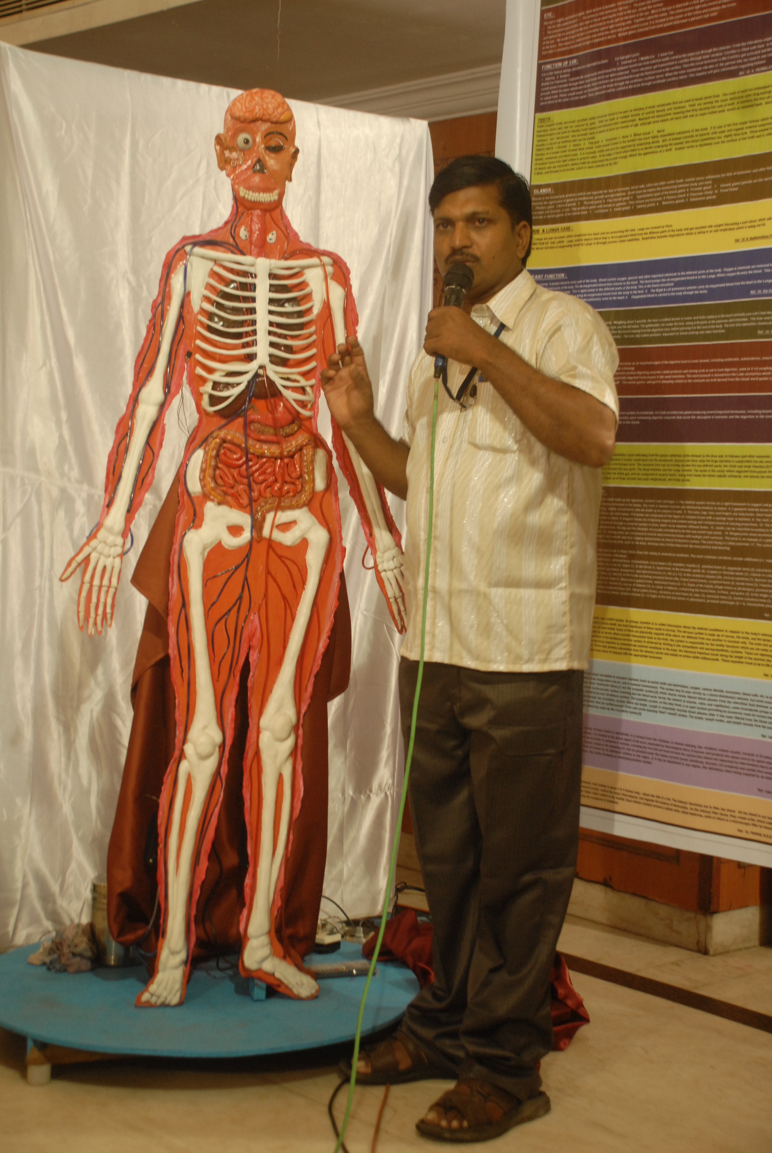 TALLEST FUNCTIONAL CLAY HUMAN MODEL India Book Of Records