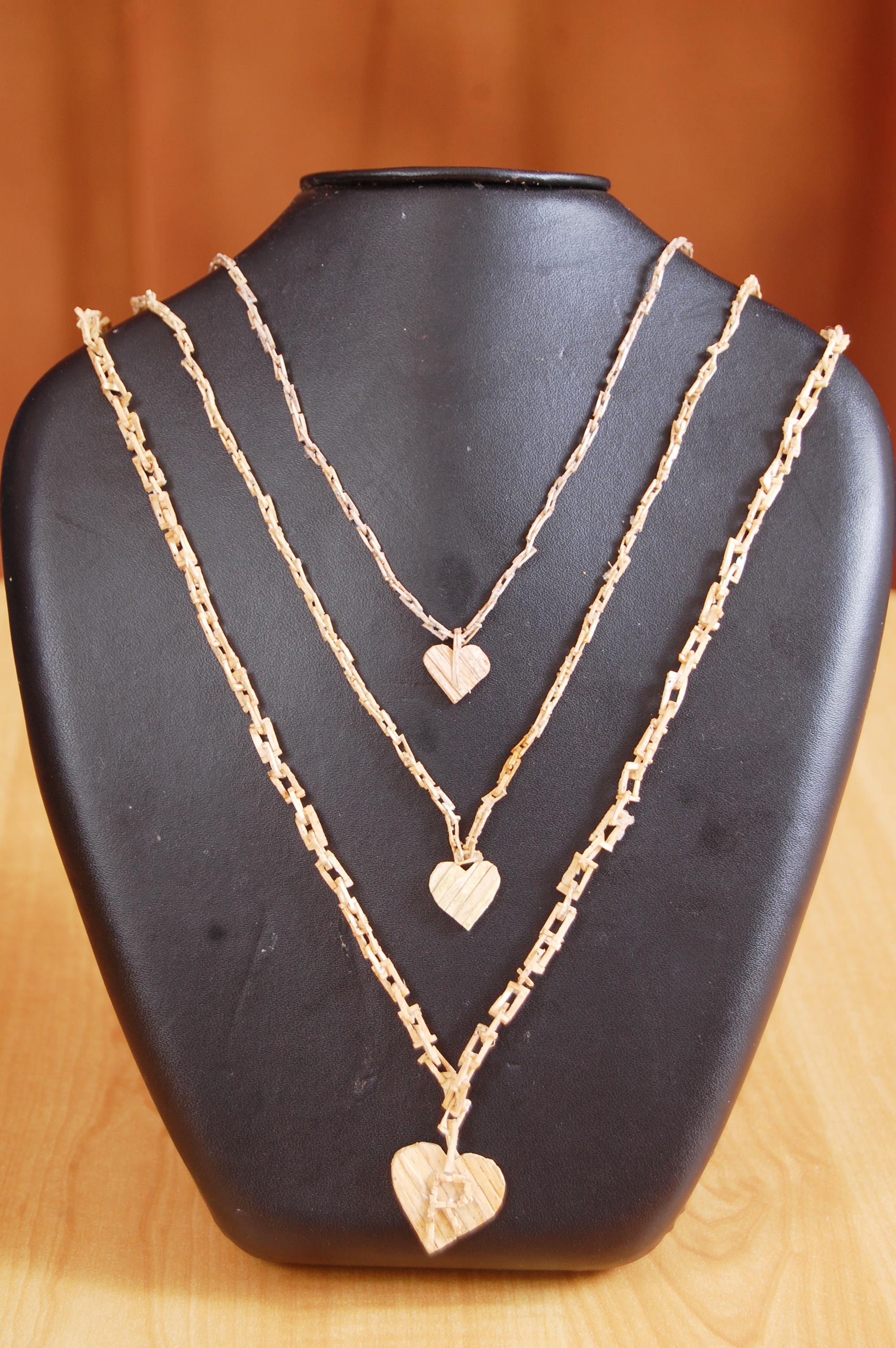 Amazing Matchstick Chain - India Book of Records