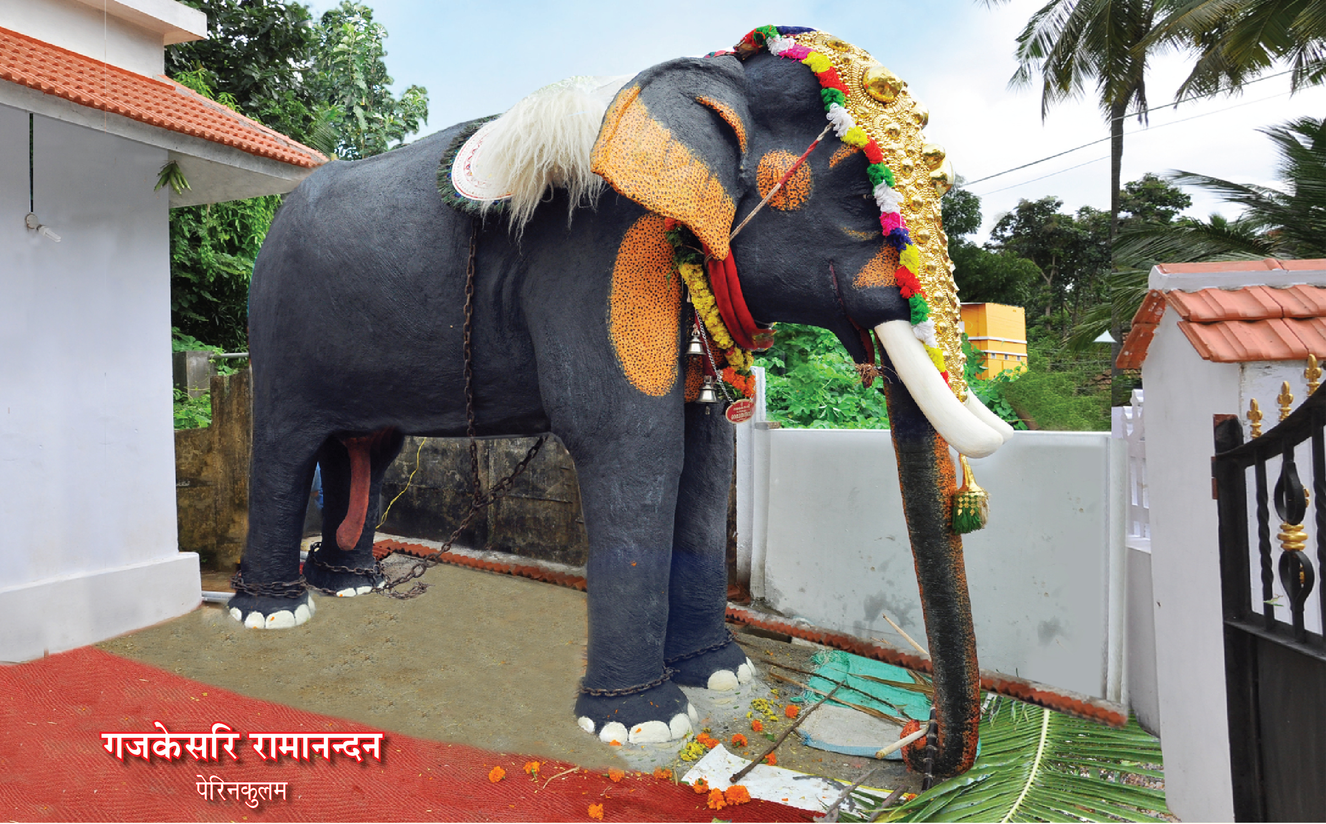 Largest Elephant In The World On Record